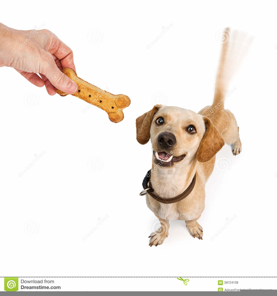 Dog Treat Clipart