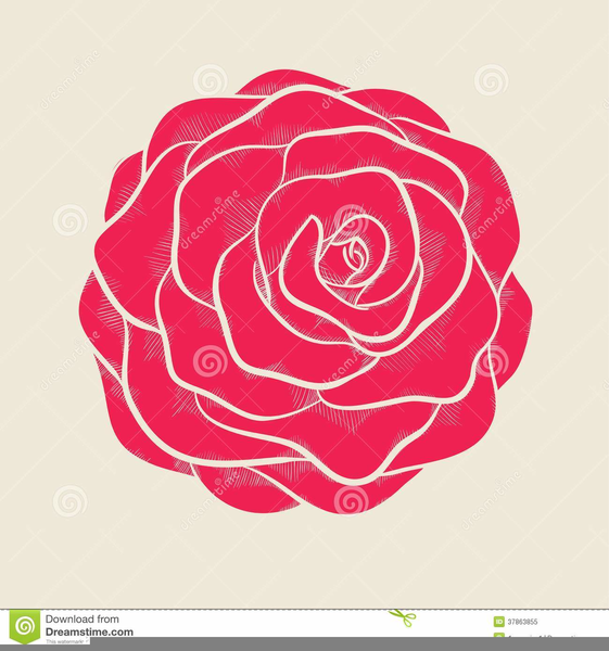 Clipart Free Graphic Rose | Free Images at Clker.com - vector clip art ...