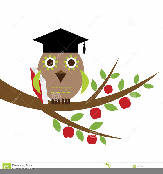 Graduation Owl Clipart | Free Images at Clker.com - vector clip art ...