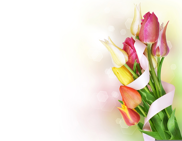 Spring Clipart Wallpaper | Free Images at Clker.com - vector clip art ...