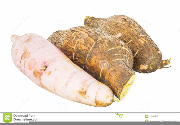 Cassava Clipart | Free Images at Clker.com - vector clip art online ...
