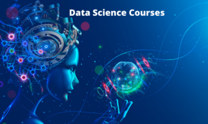 Data Science Courses | Free Images at Clker.com - vector clip art ...