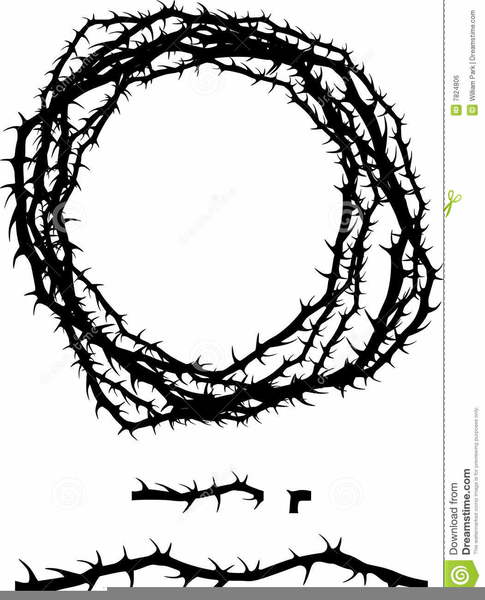 Rose And Thorn Clipart | Free Images at Clker.com - vector clip art ...