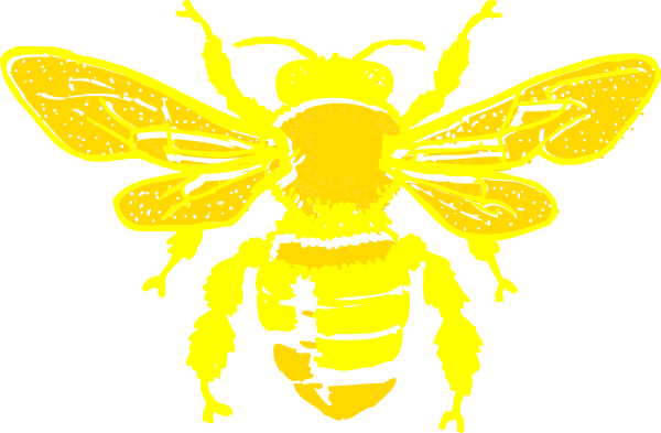Bee1 Clip Art at Clker.com - vector clip art online, royalty free ...