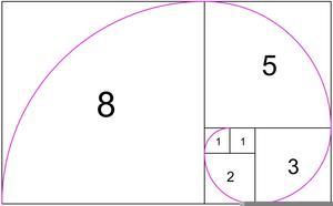 Fibonacci Sequence | Free Images at Clker.com - vector clip art online ...