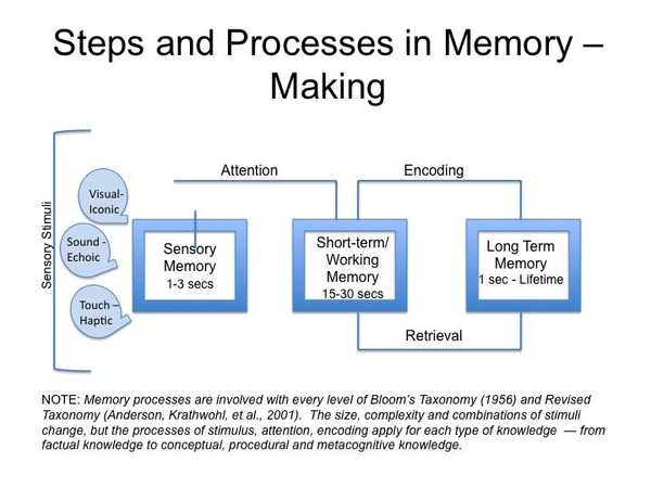 Memory Construction Process | Free Images at Clker.com - vector clip ...
