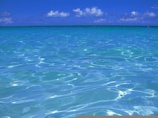 Beach Water | Free Images at Clker.com - vector clip art online ...