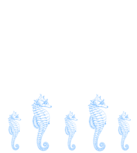 Seahorse Border Clip Art at Clker.com - vector clip art online, royalty ...