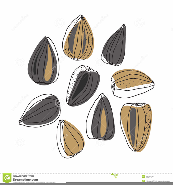 Clipart Of Seeds | Free Images at Clker.com - vector clip art online ...