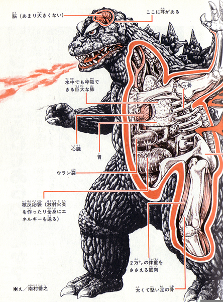 Real Godzilla Bones