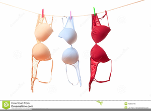 hanging bra vector