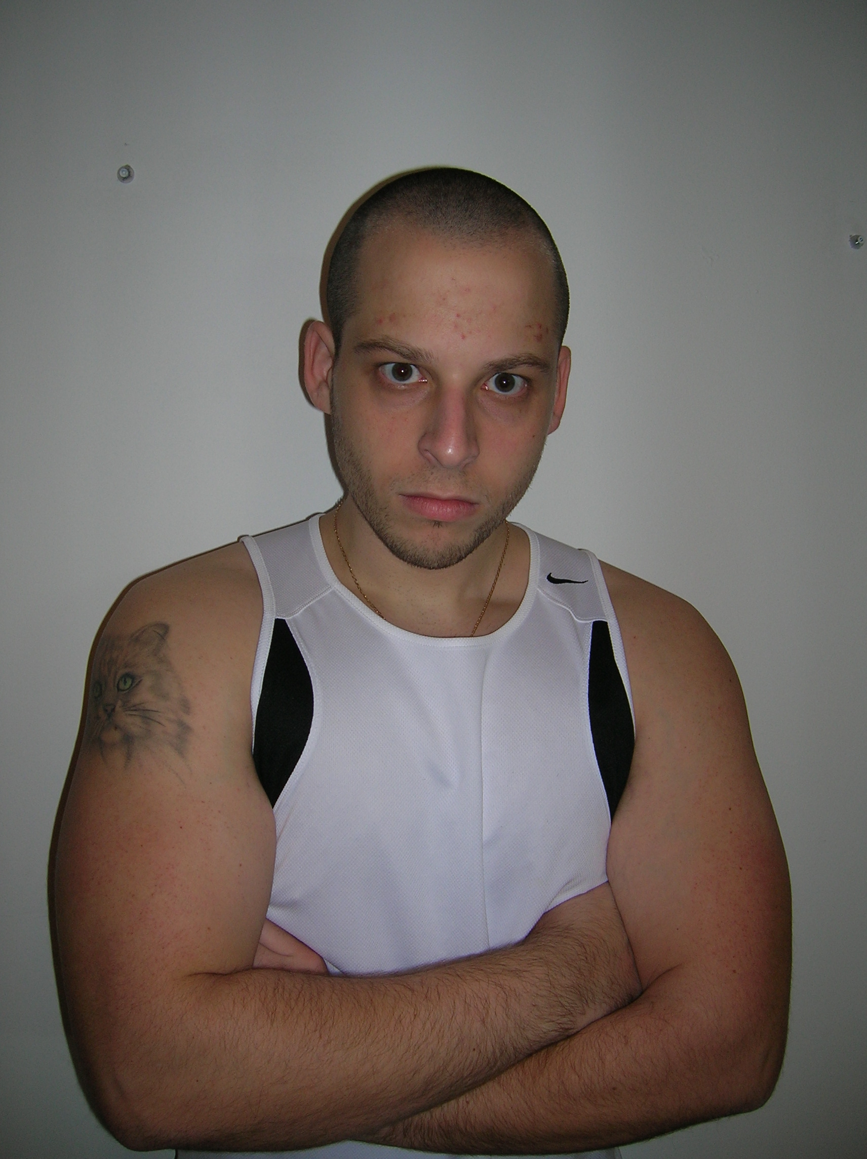 Dscn | Free Images at Clker.com - vector clip art online, royalty free ...