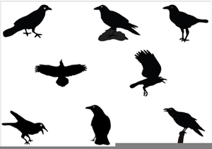 Halloween Crow Clipart | Free Images at Clker.com - vector clip art ...