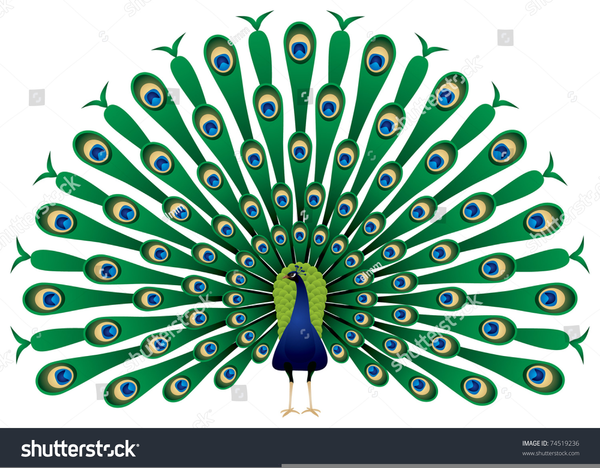 Free Clipart Of Feathers | Free Images at Clker.com - vector clip art online, royalty free ...