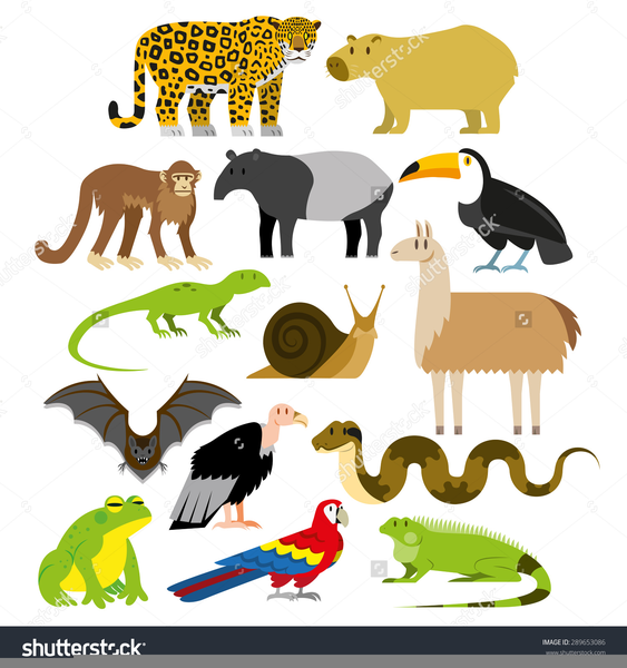 Latin America Free Clipart | Free Images at Clker.com - vector clip art ...
