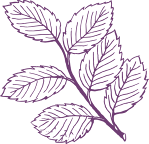 Purple Leaves Clip Art at Clker.com - vector clip art online, royalty ...