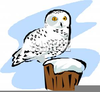 Snowy Owl Free Clipart | Free Images at Clker.com - vector clip art ...