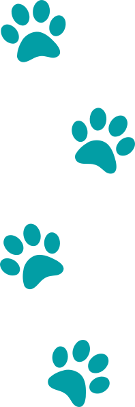 Rainbow Paws Clip Art at Clker.com - vector clip art online, royalty ...